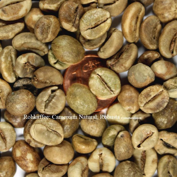 Cameroun Robusta Natural Selected Screen 18/20 | Rohkaffeebohnen