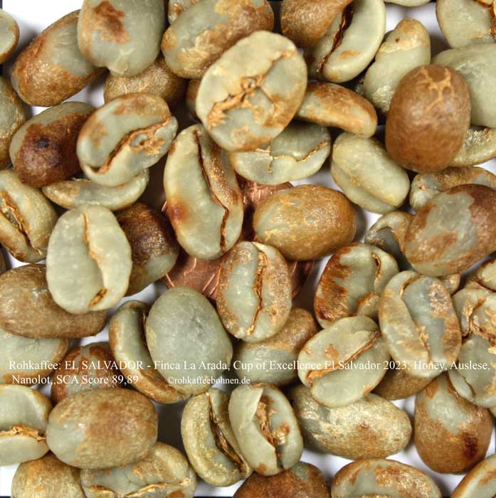 EL SALVATOR - Finca La Arada, Cup of Excellence El Salvador 2023 ...