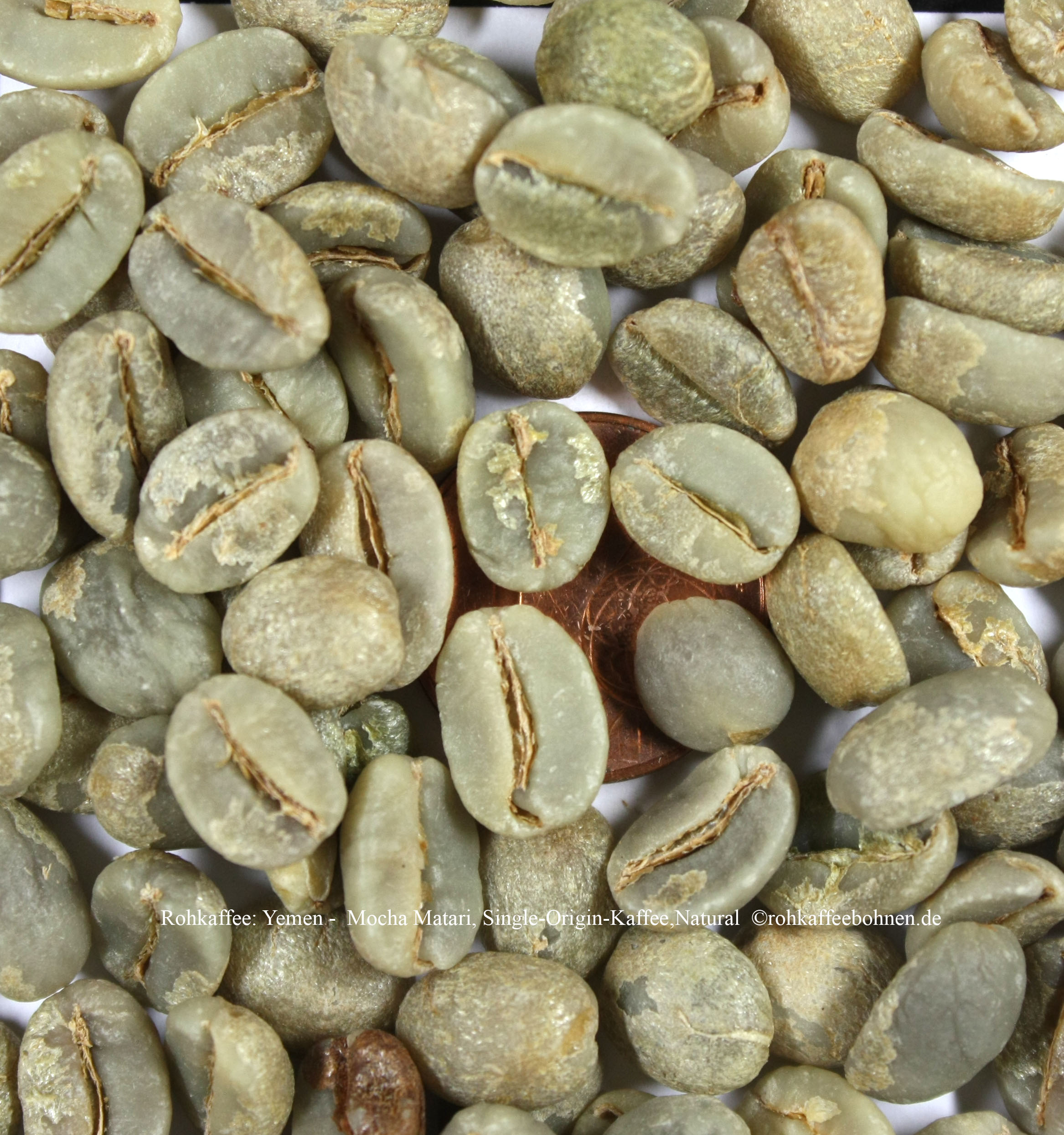 YEMEN - Mocha Matari (500g), SHB,Microlot |rohkaffeebohnen.de ...